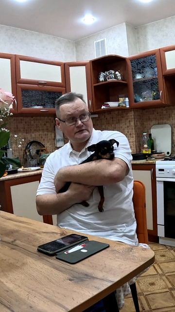 Поющий русский той терьер.