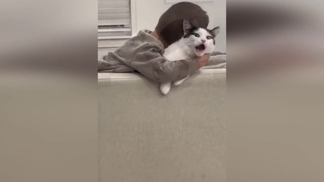 "Будьте братолюбивы друг ко другу с нежностью.." / Римлянам 12:10 / Библия