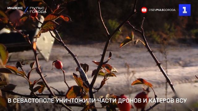 В Севастополе уничтожили части дронов и катеров ВСУ