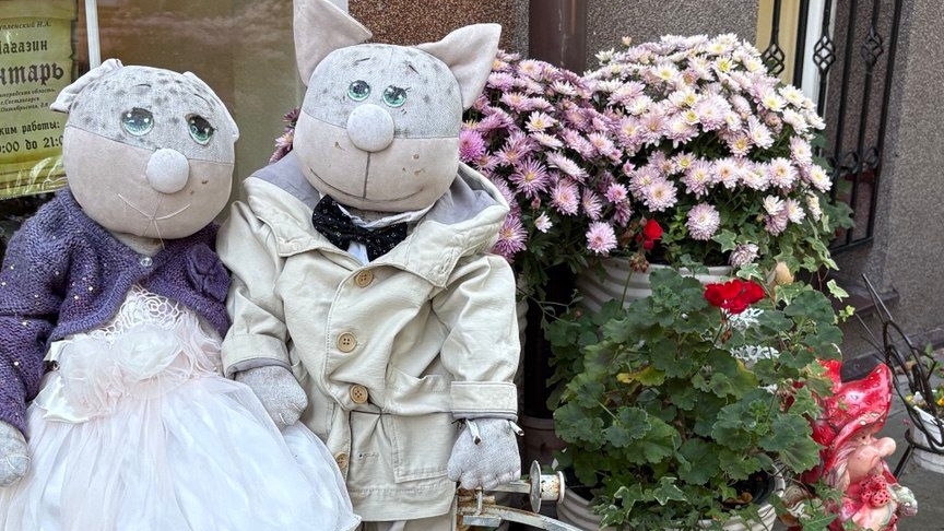 ВЛОГ О ТОМ, О СЁМ ✨ПОГОВОРИТЬ🍀