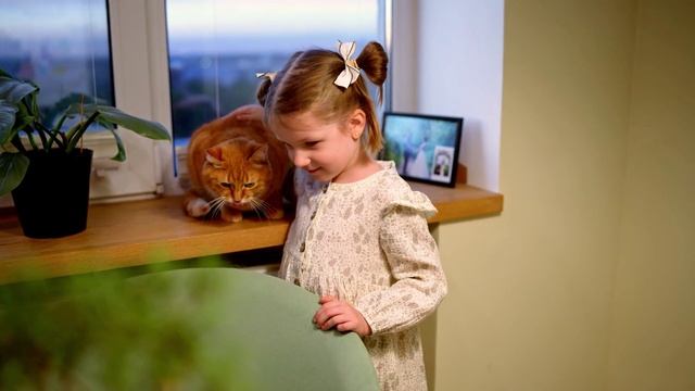 Пять дел для друга