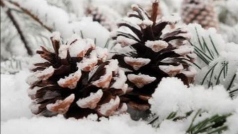 Доброе утро зима пришла