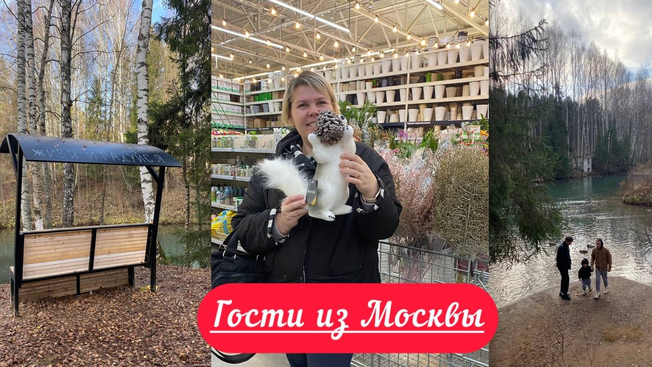 Киров: √Встреча спустя километры и месяцы| Полки в магазинах переполнены новогодними игрушками