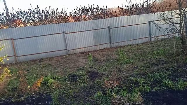 30.11.25г.   Последний Обзор ОГОРОДА в конце ОСЕНИ!!!👍👍👍.   Завтра ЗИМА!!!😒😒😒