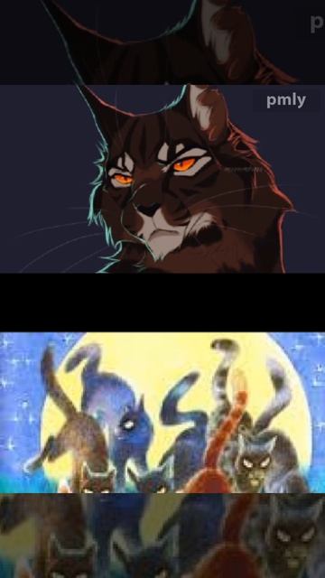 коты воители:злодеи