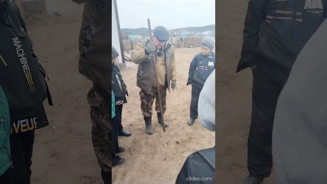 2. Действуй в защиту леса!