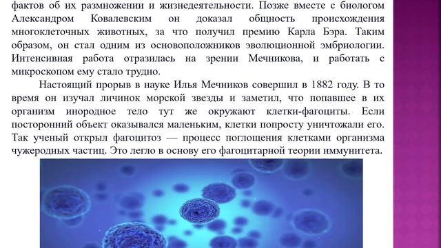 Плужников Артем Игоревич, ГБОУ "Школа №88 г.о. Донецк"