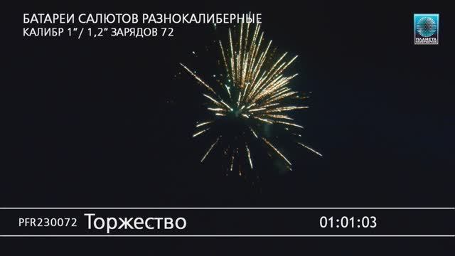 PFR230072 Торжество