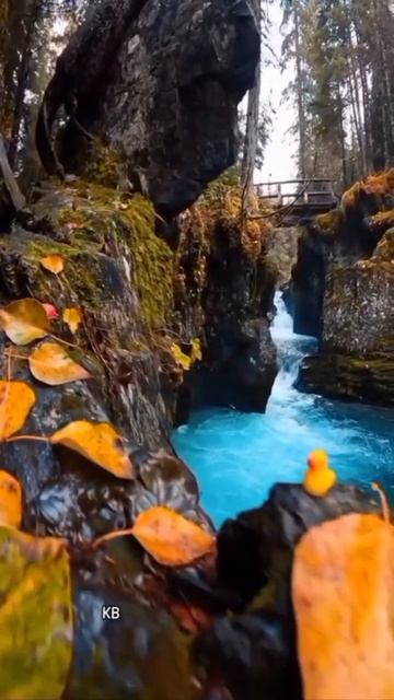 #katyboro #видео #видеооткрытка  #красивоевидео #shortvideo #shorts #short #video #viralvideo #2025