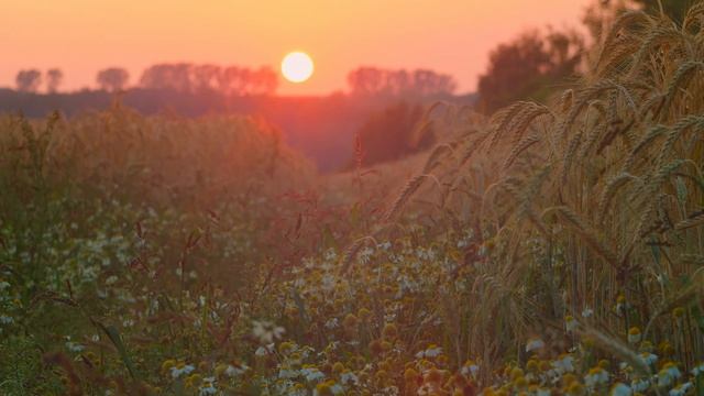 "Лето, вечер, дорога"