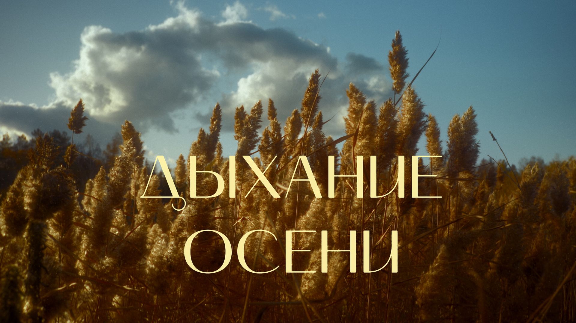 Дыхание осени