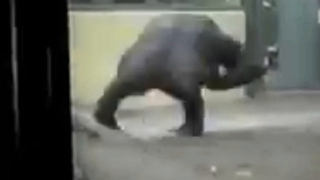 Тоже Плющенко Plushenko too