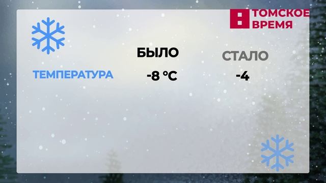 В регионе действуют ёлочные браконьеры