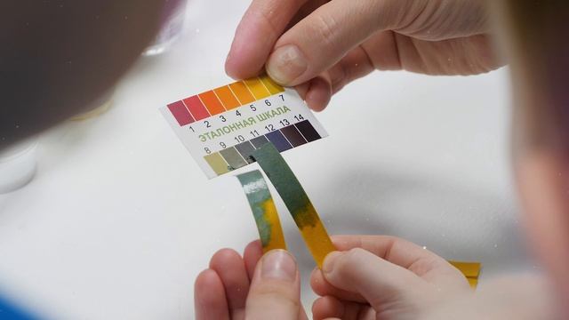 Детская лаба. Занятие "Кислота и щёлочь"