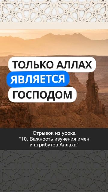 Только Аллах является Господом || Ринат абу Ибрахим #религия #коран #вера