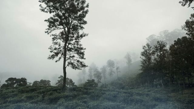 Ты устал? Просто включи и выдохни