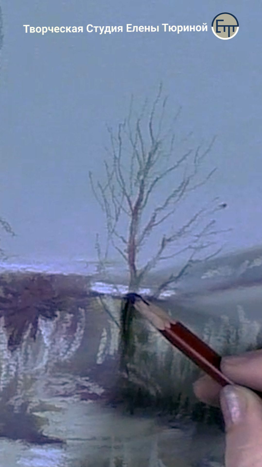 Как нарисовать дерево #shorts #какнарисоватьдерево #пастель #рисование #мастеркласс #дерево