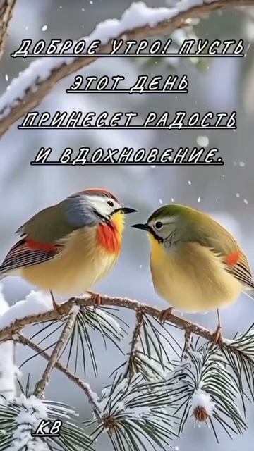 #видеооткрытка #видео #shortvideo #video #shorts #пожелания #2025