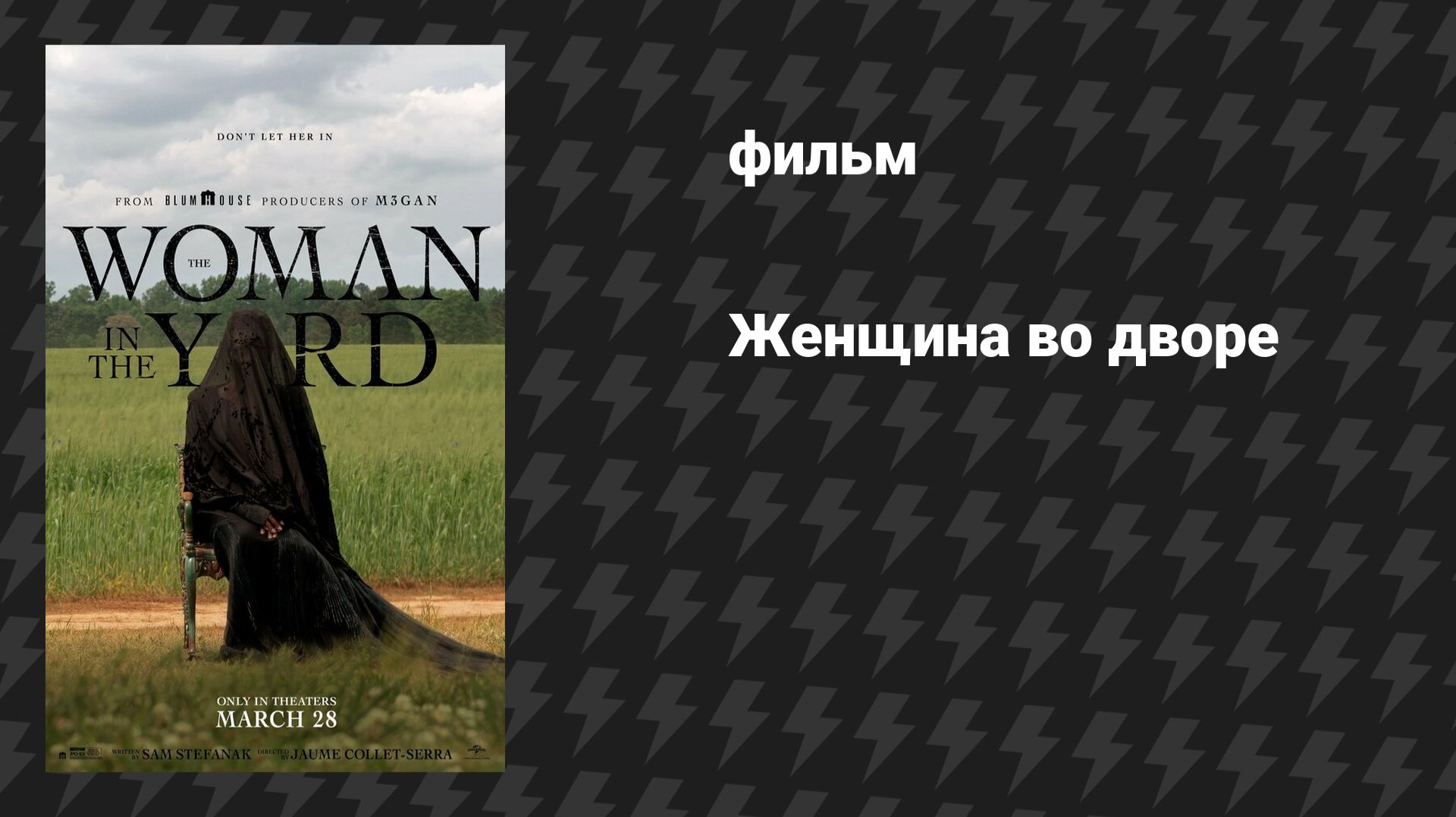 Женщина во дворе (фильм, 2025)