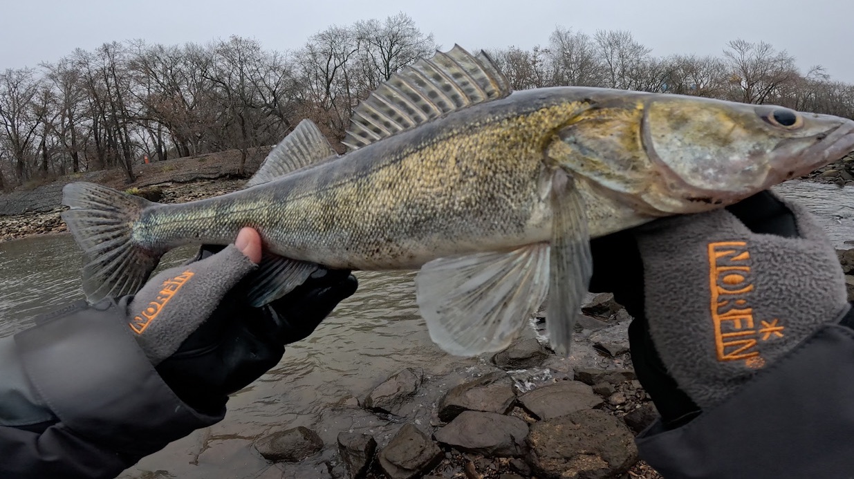 Рыбалка на Москва реке. Лайт джиг.