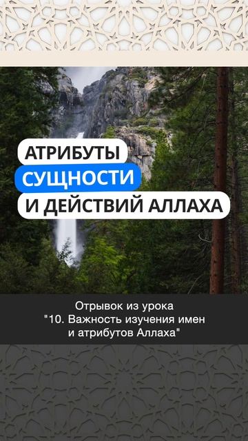 Атрибуты сущности и действий Аллаха || Ринат абу Ибрахим #религия #коран #вера