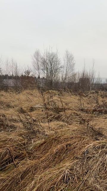 Продаётся  участок 15 соток с фундаментом и электричеством в г. Струнино, Александровский район