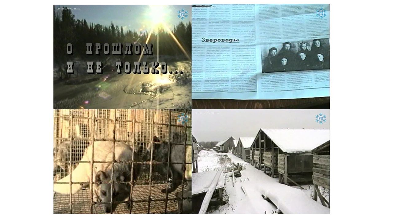О прошлом и не только. Автор Тагна Романова. Декабрь 1999 г.