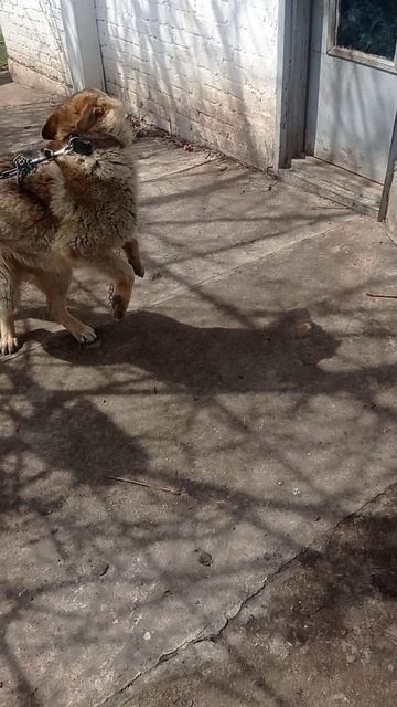 Радостная встреча