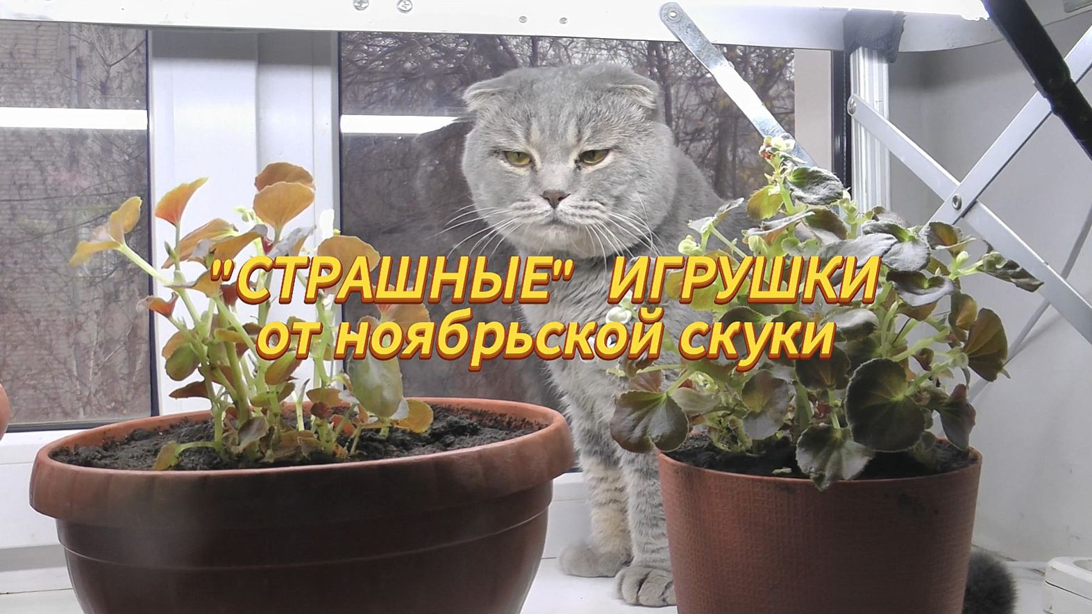 8. Котосериал Барсяткин. 3 сезон. ЛЕТО - ОСЕНЬ. 3 серия. "Страшные" игрушки от ноябрьской скуки