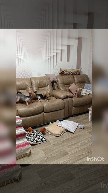 После баньки можно и побегать!