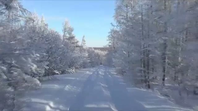 Декабрь. Сергей Чекалин. December. Sergei Chekalin.