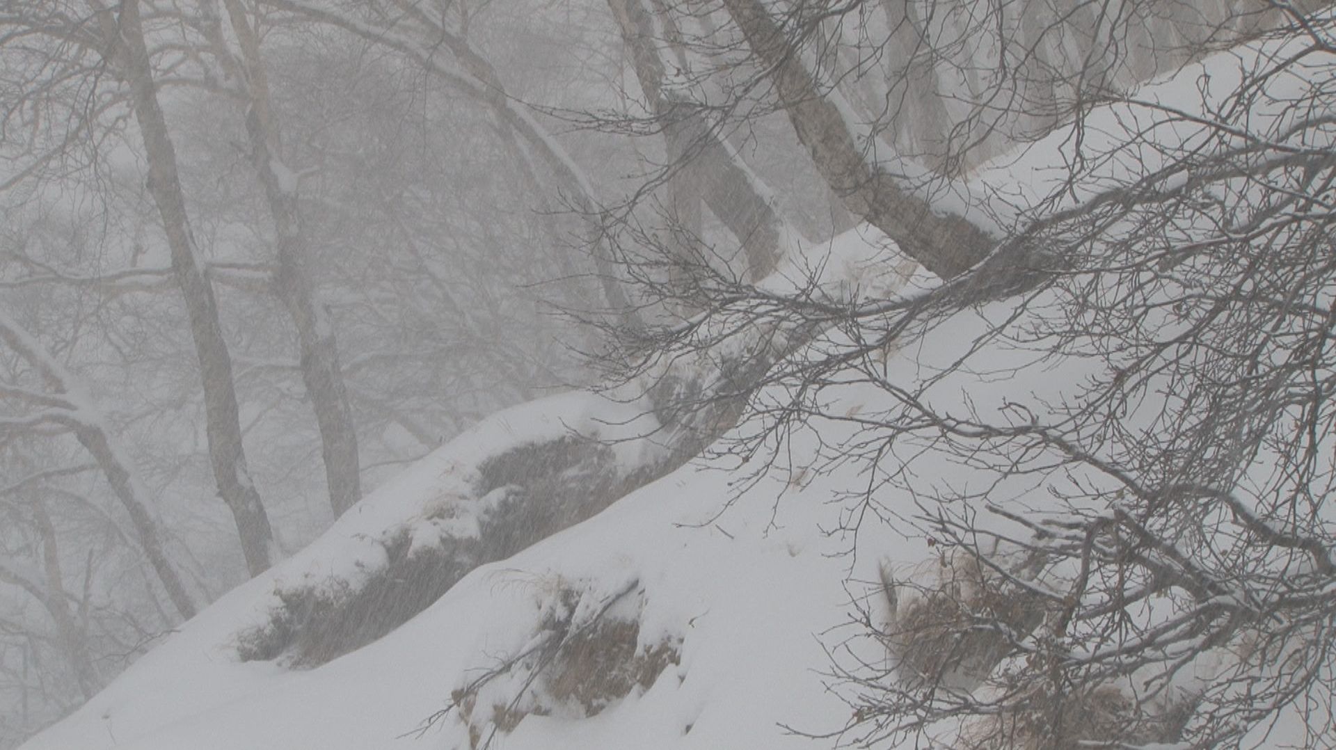 ЛАВИННАЯ ОПАСНОСТЬ