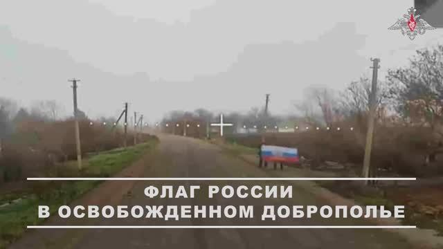 Освобождение населённого пункта Доброполье в Запорожской области