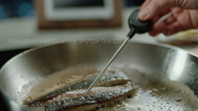 2_5296266860101145436