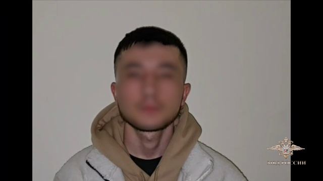 В Москве полицейские задержали участников группы, подозреваемых в организации незаконной миграции