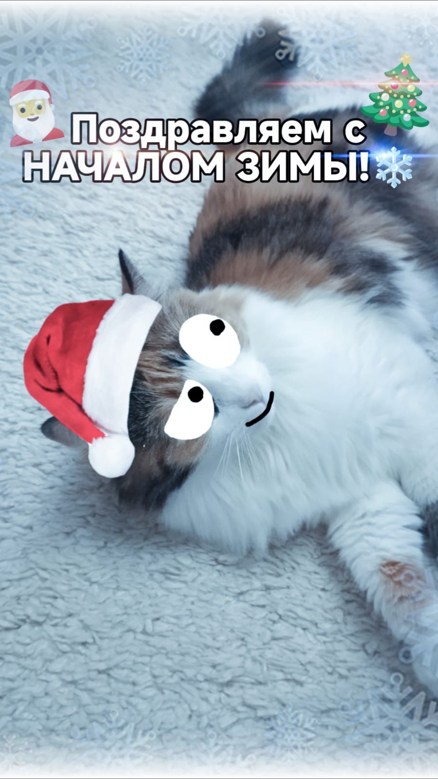 Поздравляем с НАЧАЛОМ ЗИМЫ!❄🎄🎅 | Симка и Алиса Rutube🕹🎄