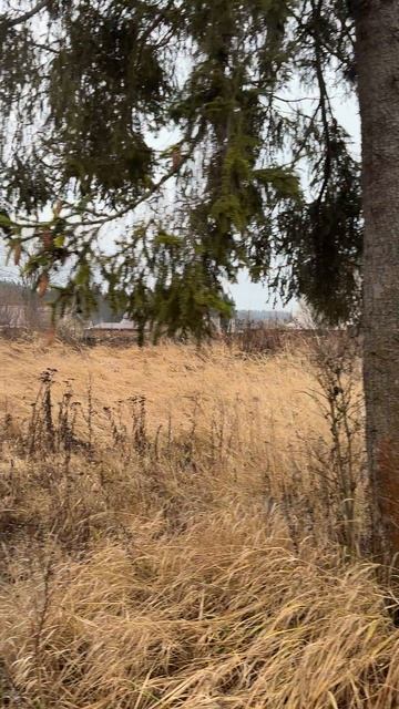 Продаются  33 сотки с фундаментом, электричеством и выходом в лес в г.Струнино, Александровский р-н