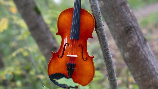 Современная классическая музыка на скрипке | Ecveezer - Your Gaze Touches My Body