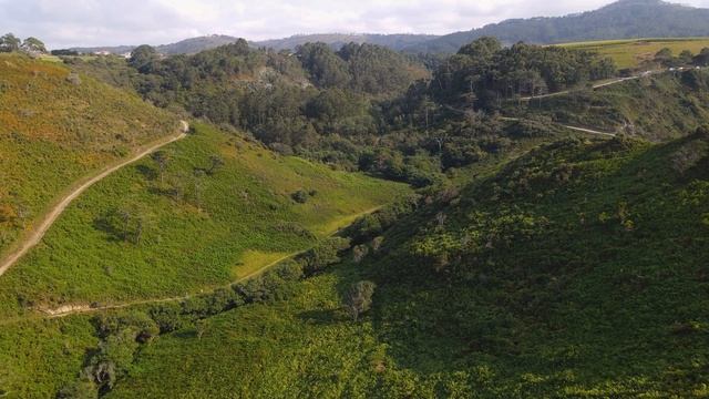 Александр Пушкин. Песнь о вещем Олеге. Песня на стихи