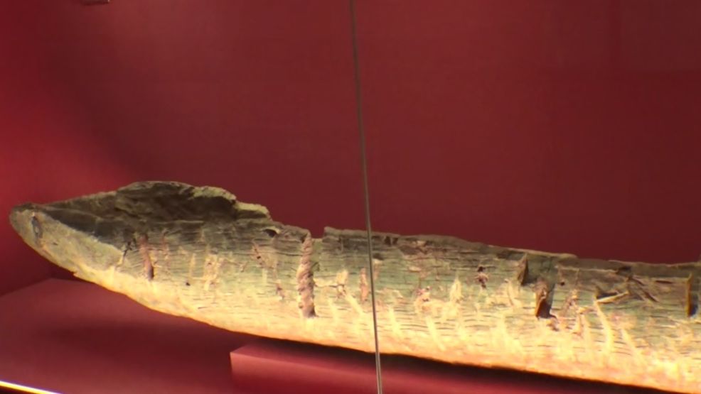 Речной челн в экспозиции музея-заповедника Куликово поле