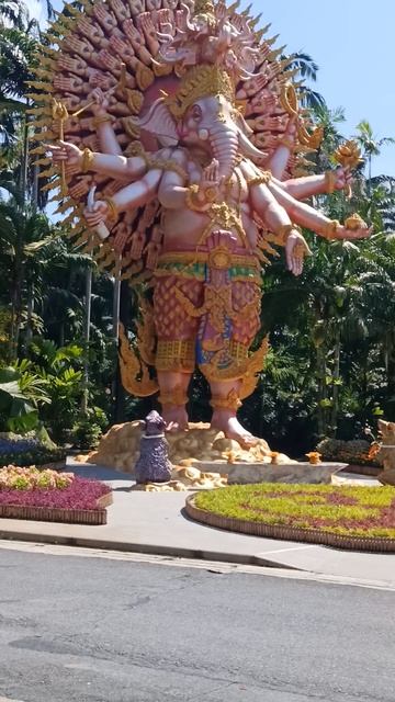 Тень — это не отсутствие света. Это его след Что скрывает Nong Nooch