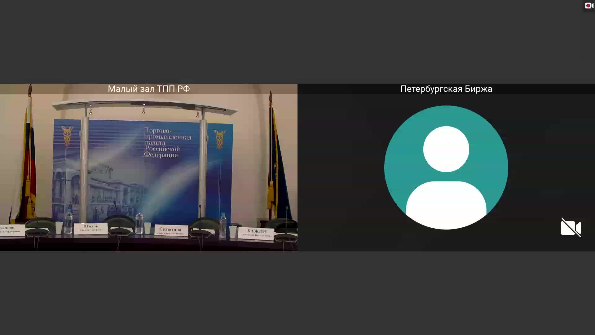 Заседание Комитета ТПП РФ по энергетической стратегии и развитию ТЭК