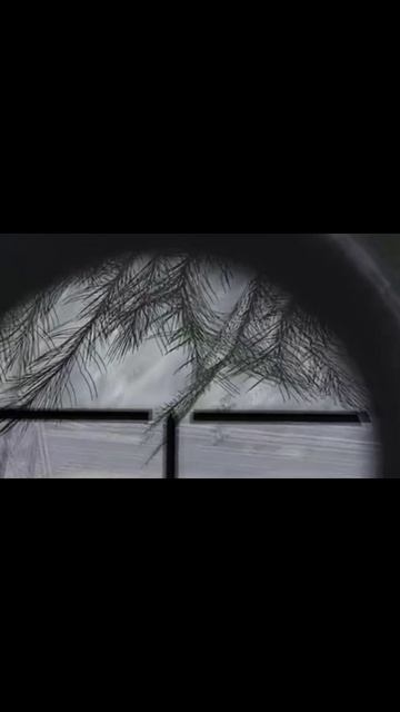 Два челика и Кекс.