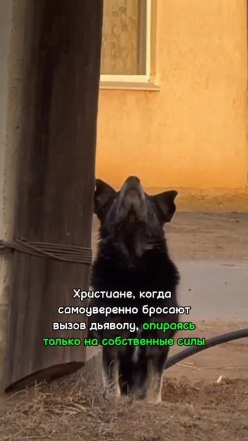 Я до сих пор попадаю в эту ловушку🙂↕️, если честно признаться
🔖Посему, кто думает, что он стоит, бе