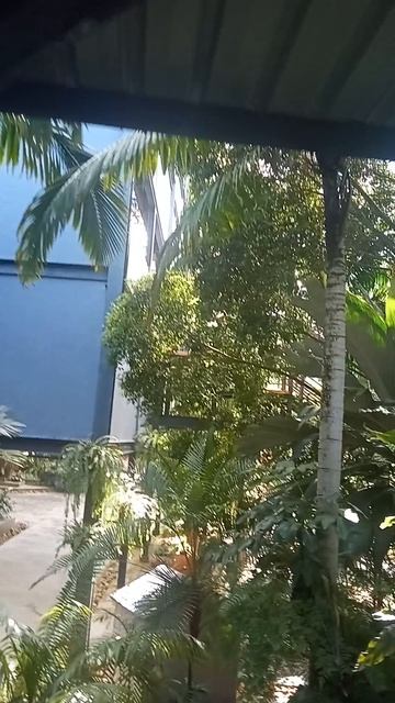 Таиланд говорит с тобой без слов Что скрывает Nong Nooch?