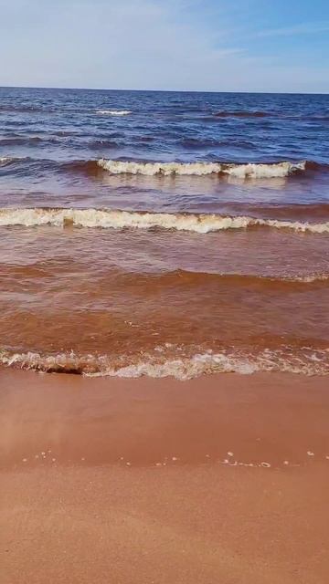 Карелия 2025. Пляжи Видлицы. Июль 2025г (Часть 6)