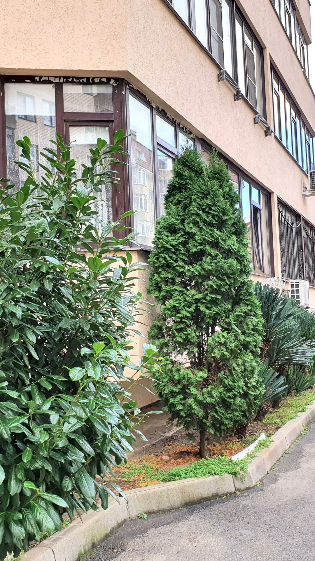 89883377726 Любовь Анапа Район Южного рынка до моря менее 1км