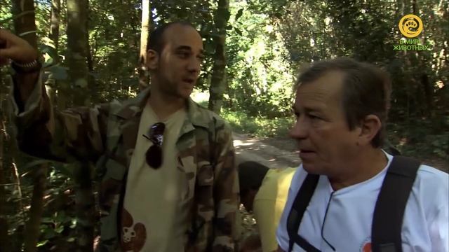 Вторая жизнь. Анонс. Канал В Мире Животных