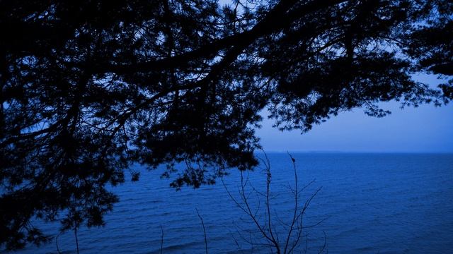 Релакс музыка. Спокойная, успокаивающая музыка | Ecveezer - Your Gaze Touches My Body (New Version)