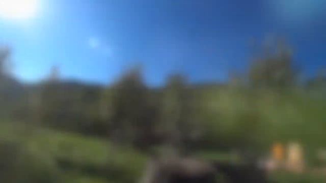 Фильм Закан